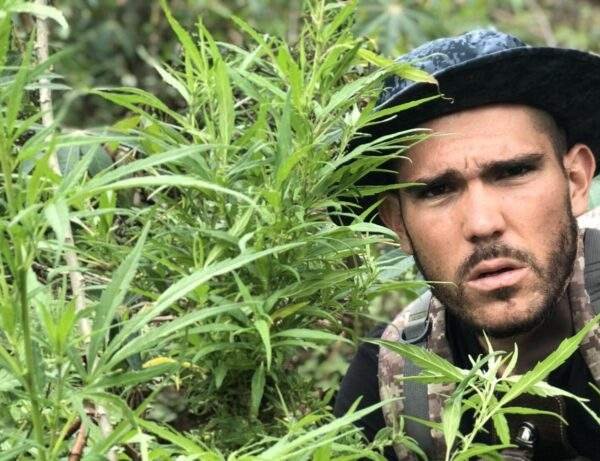 La Colombie franchit une étape vers la légalisation du cannabis